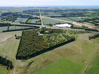 Discover Te Puke – Destination Te Puke, Bay of Plenty New Zealand